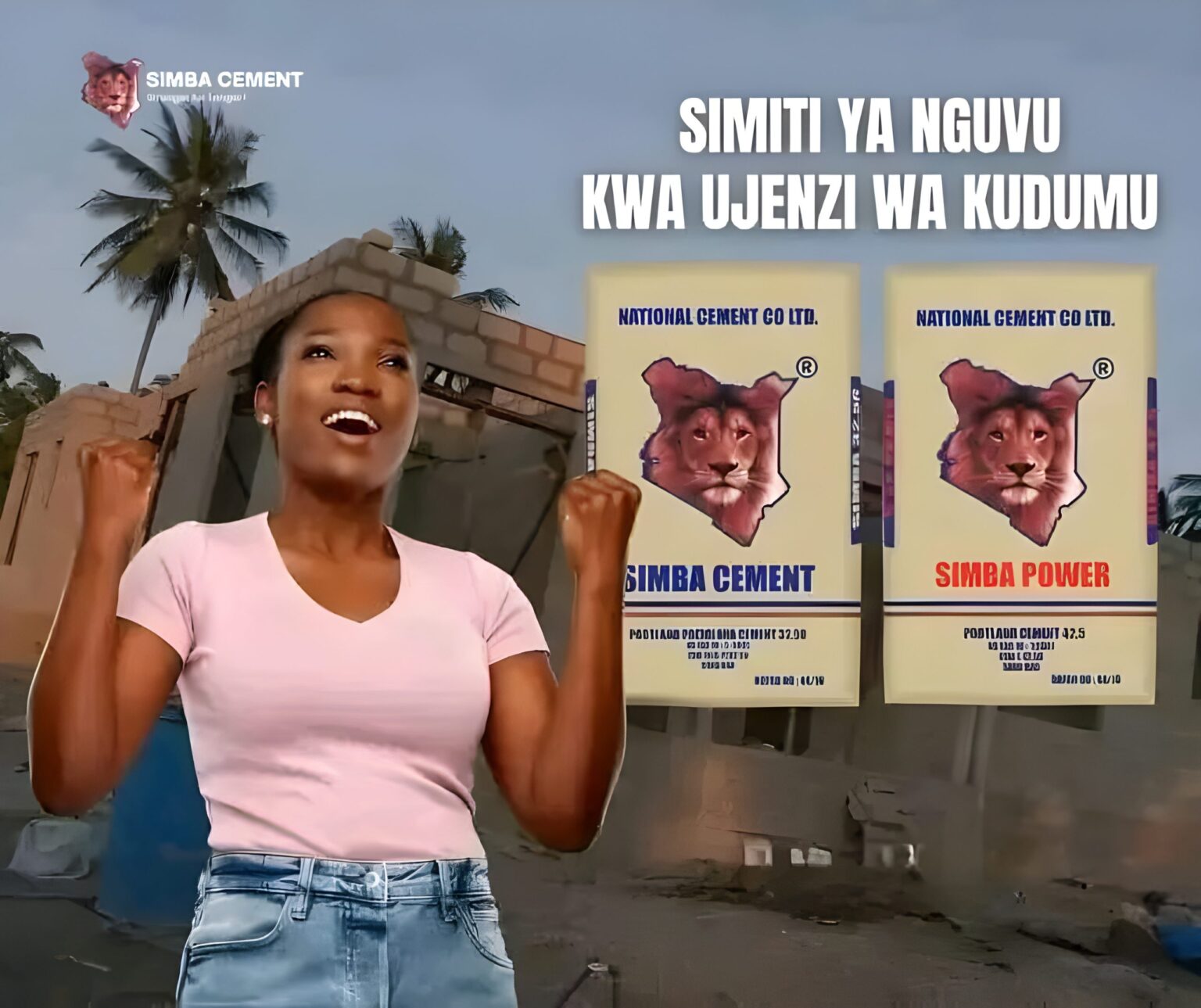 Simba Cement Factory